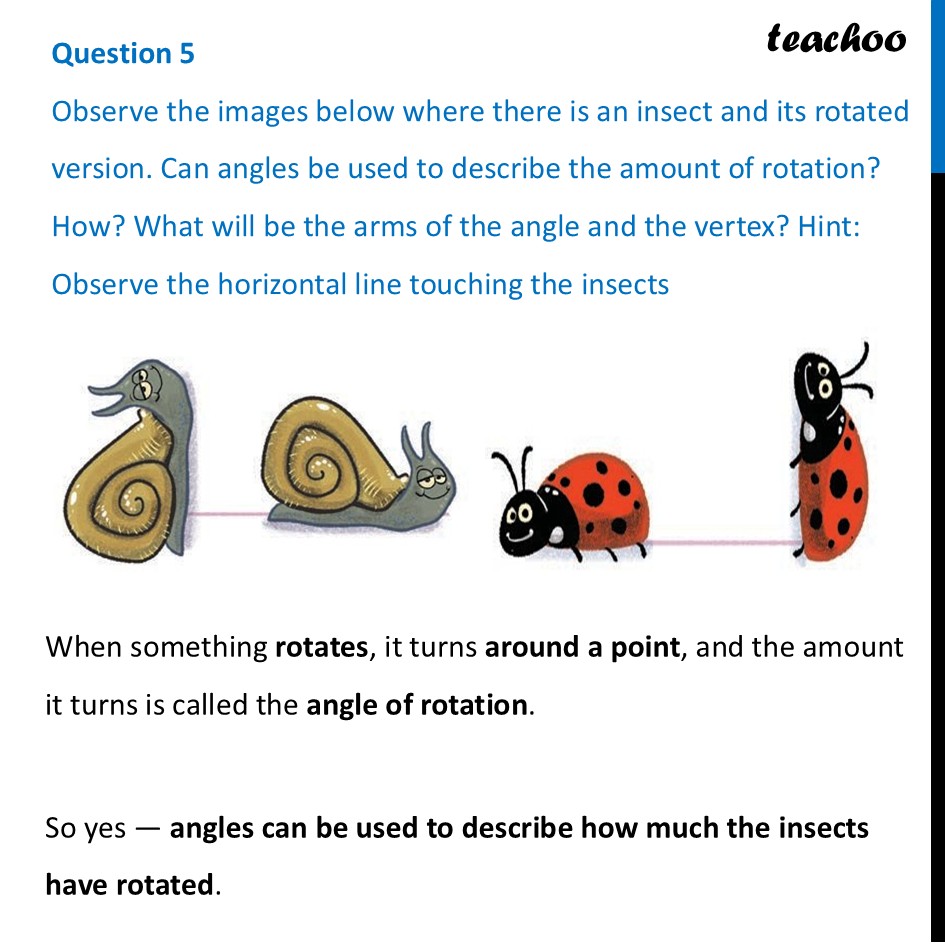 Observe the images below where there is an insect and its rotated